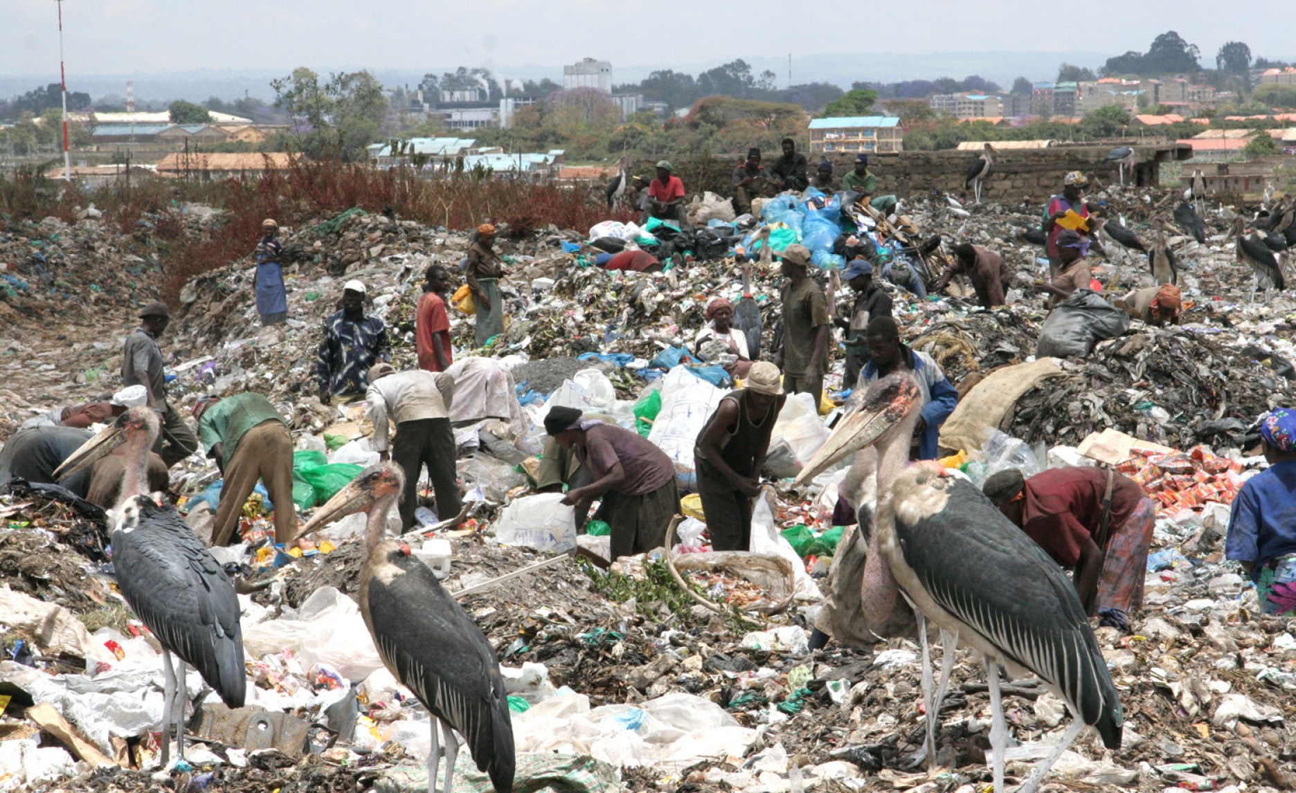 Nigeria: One Man's Trash - How Garbage Could Solve Nigeria's Energy Crisis - allAfrica.com
