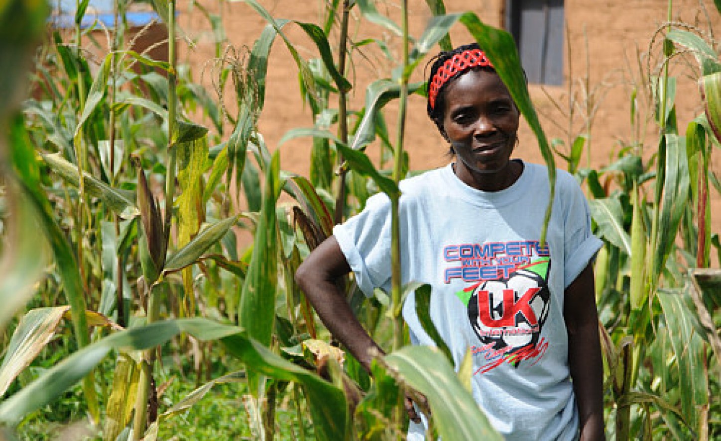 Angola: Family Farming Produces More Than 80 Percent of Agricultural ...