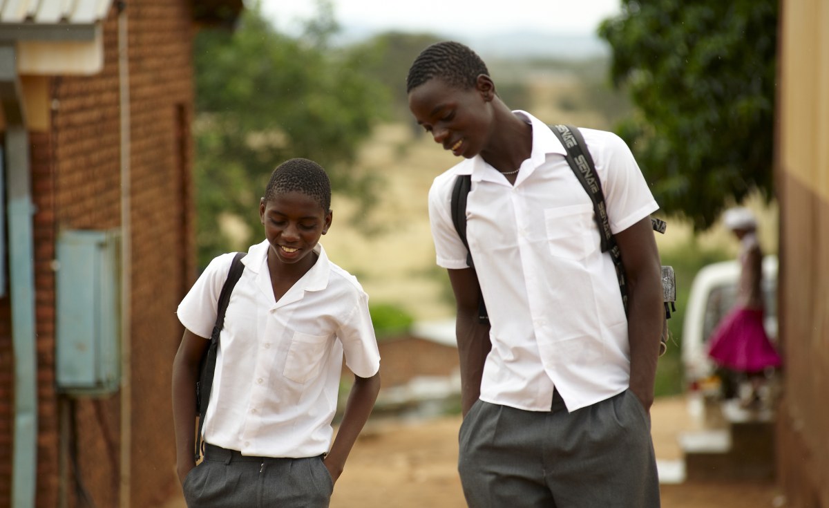 The State of Education in Zimbabwe - allAfrica.com