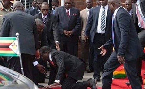 Zimbabwe: Guards Suspended Over Mugabe's Fall - allAfrica.com