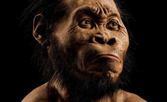 Africa: Fossil Find Suggests Homo Erectus Emerged 200,000 Years Earlier ...