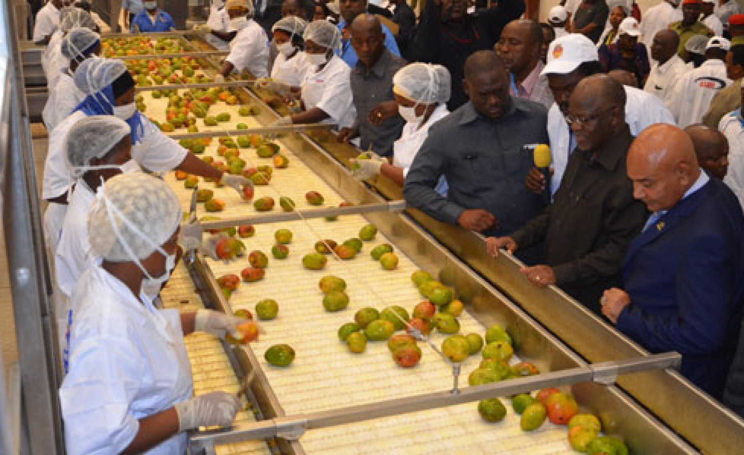 Africa: Tanzania Shines in 2017 'Doing Business' Report - allAfrica.com