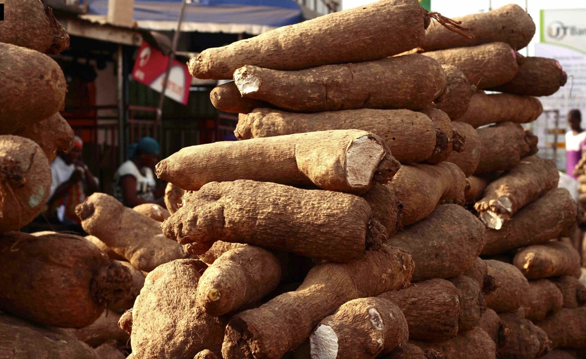 Nigeria: 72 Metric Tonnes of Yam Leave Nigeria for Europe, U.S. Today ...