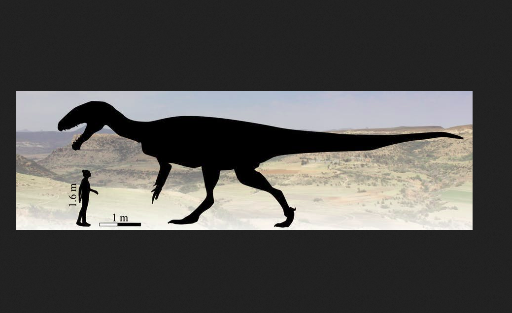 New 'Mega' Dinosaur Found in Lesotho - allAfrica.com