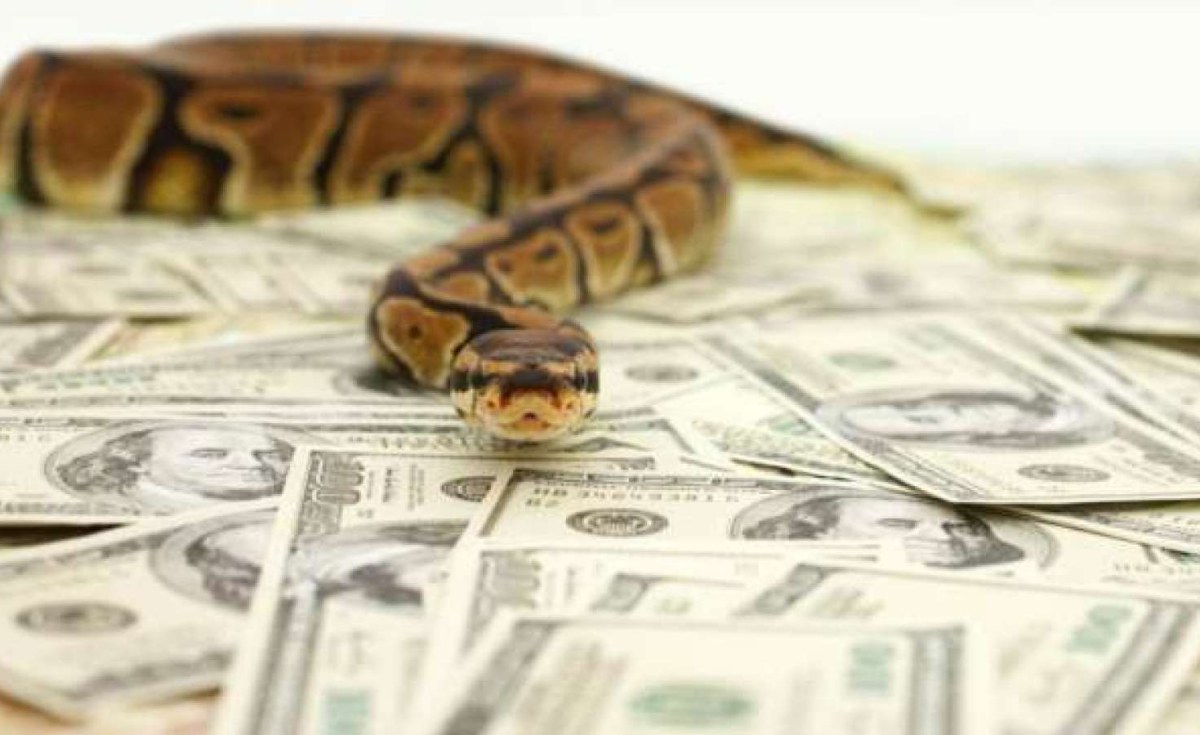 Nigerian Official Makes U-Turn, Says Money Not Swallowed By Snake ...