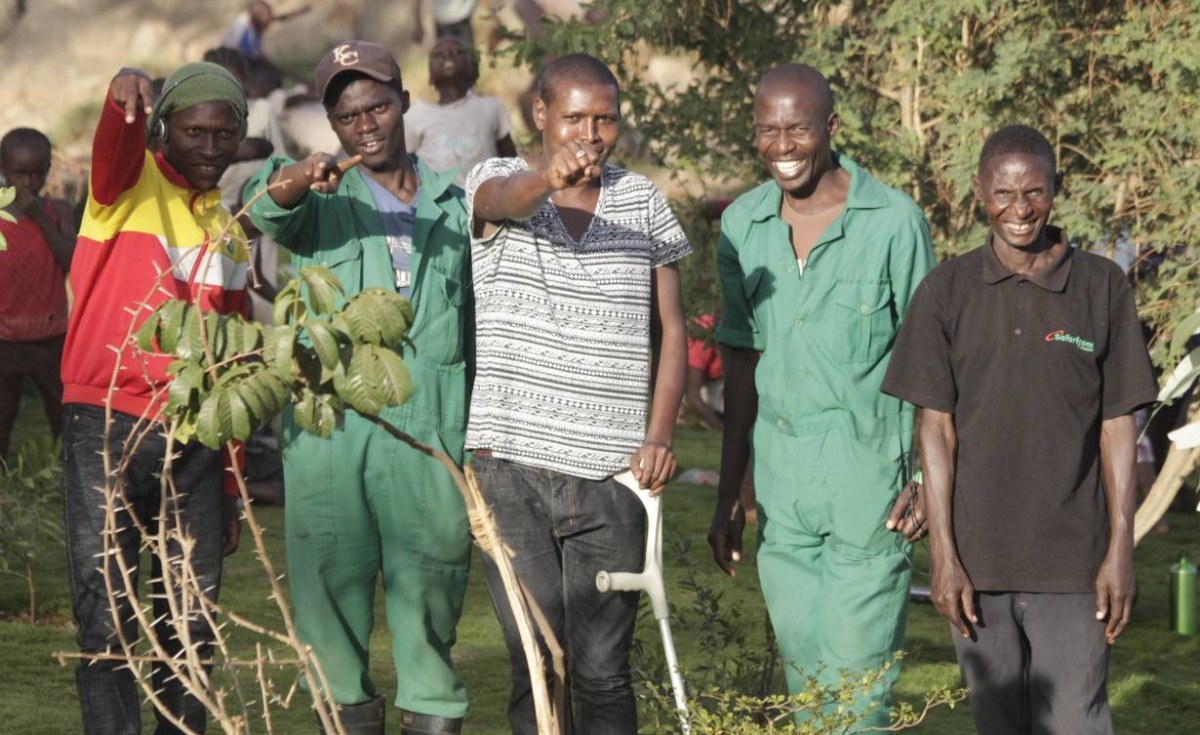 Kenya: Gangs to Gardens - Kenyan Youth Shun Crime to Create Green ...
