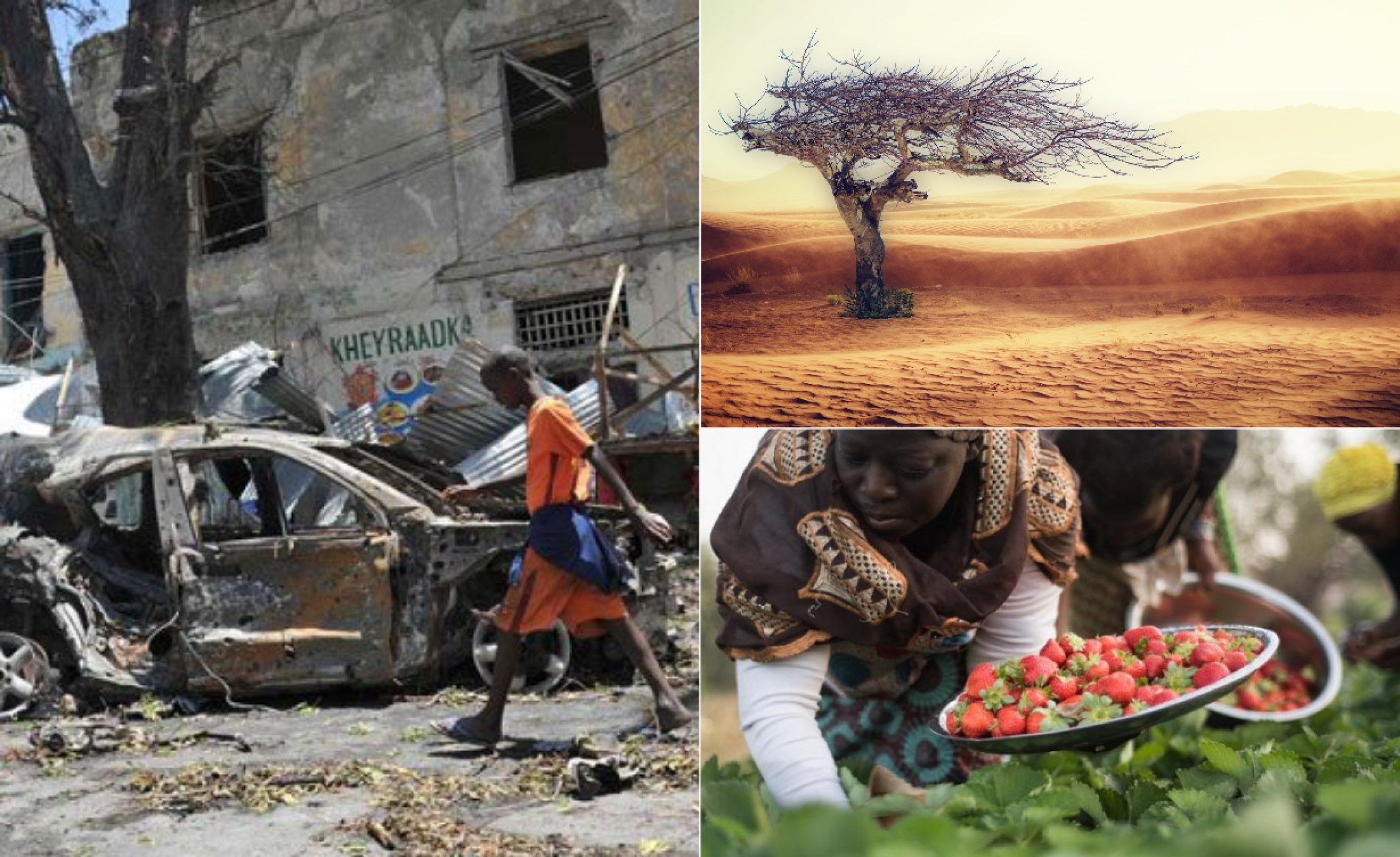 Africa: When Climate Crisis, Food Insecurity and Conflict Shakes ...