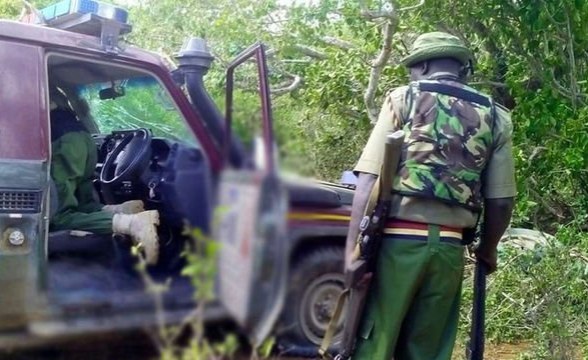 Nouvelles attaques de bandits font 48 morts dans le nord-ouest du ...