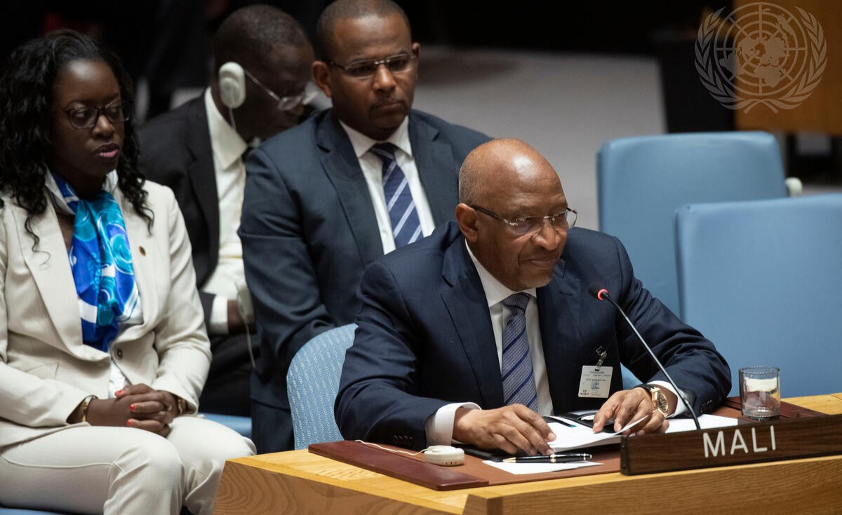 Mali: Former PM Arrested in Mali Anti-Corruption Drive - allAfrica.com